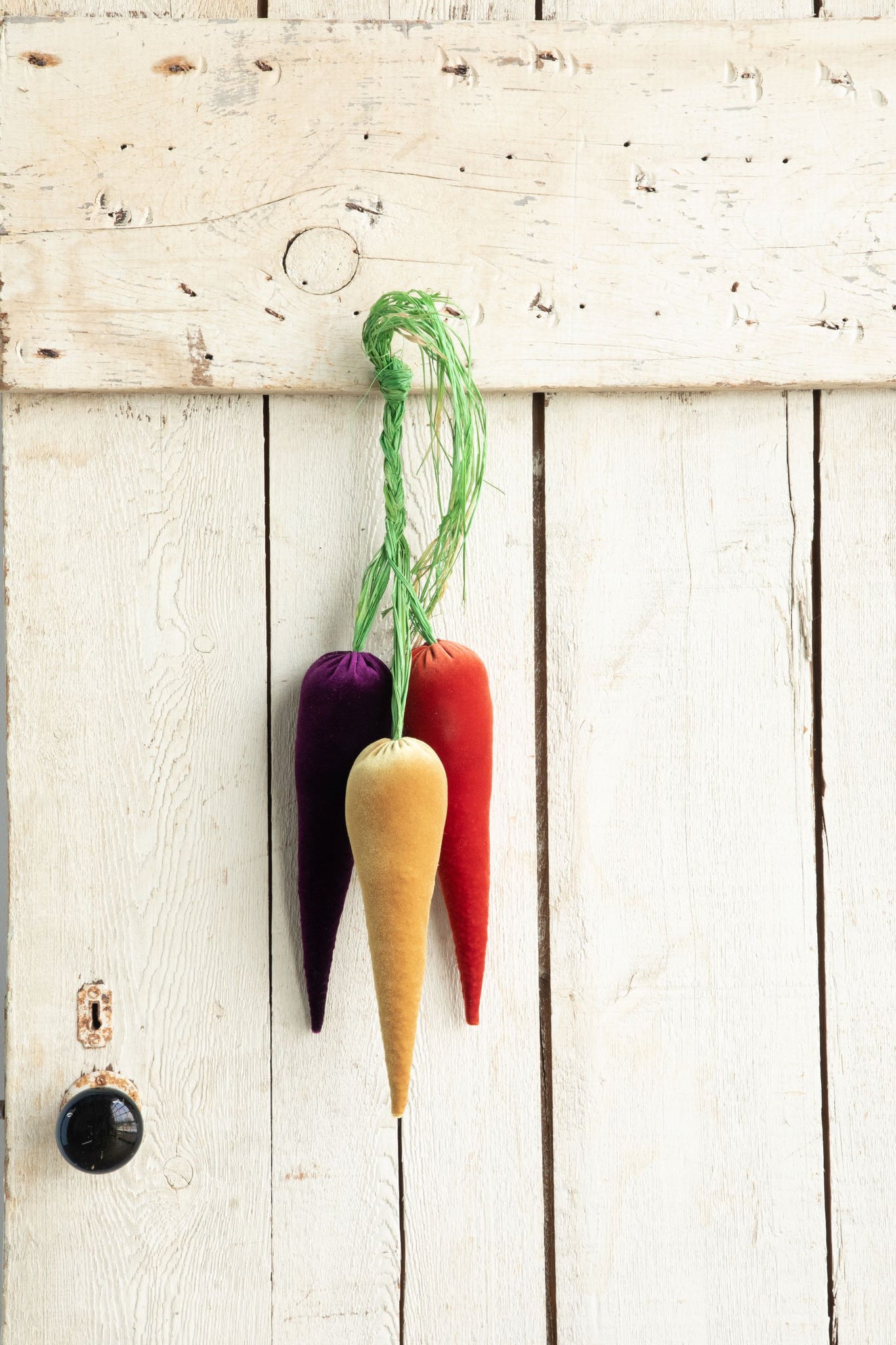 Velvet Carrots Create Your Own Set of Colors, Cozy Fall Tablescape, Ru ...